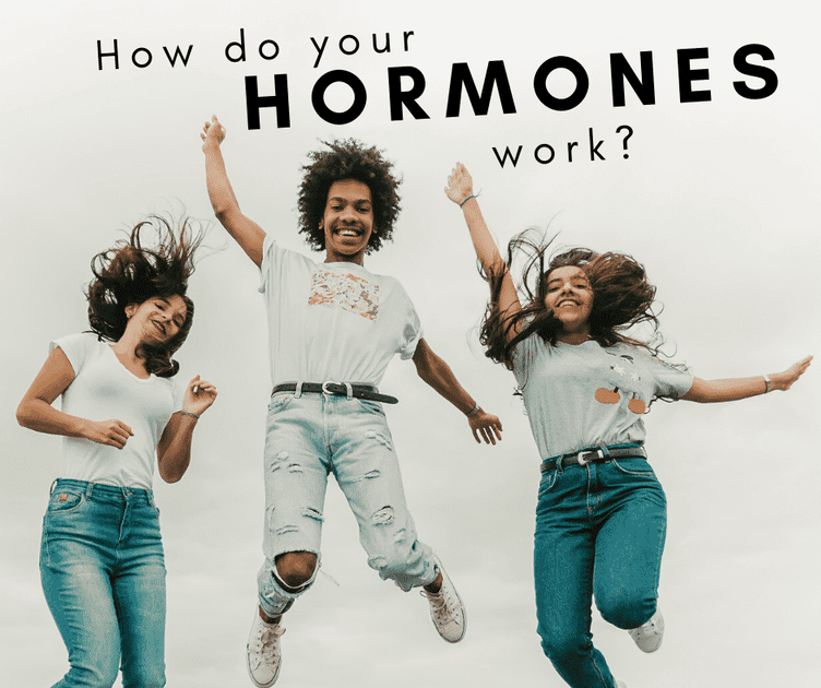 How do your hormones work? – Thumper Massager Inc. US Store