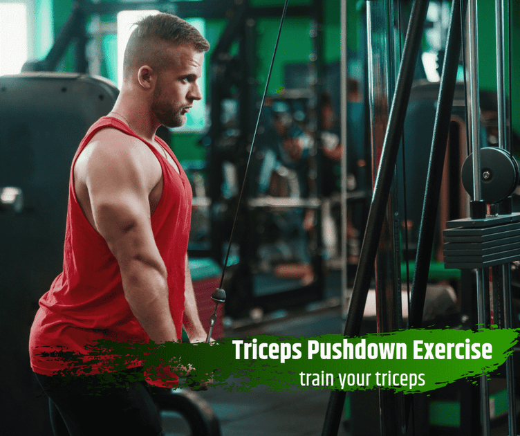Triceps Pushdown Exercise: train your triceps – Thumper Massager Inc ...