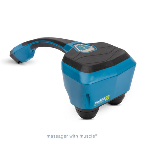 Muscle Groups and Exercises That Are Best For You – Thumper Massager ...